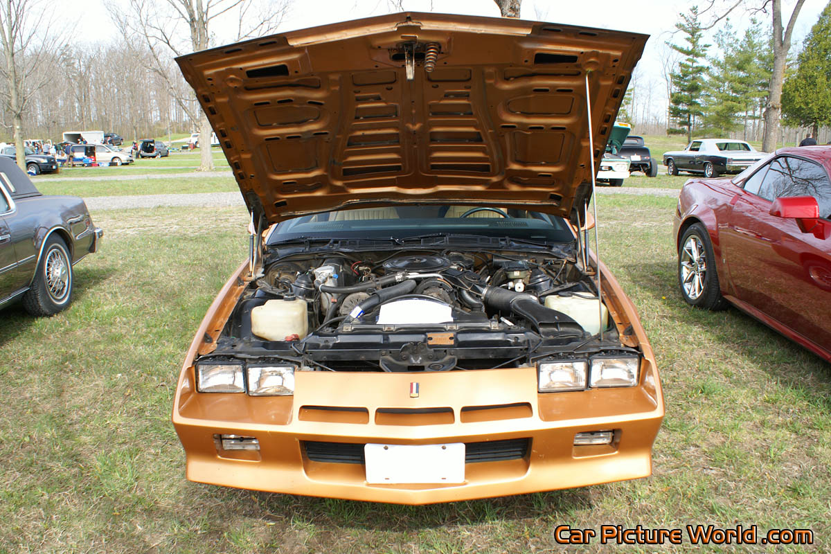1982 Camaro Berlinetta Front Picture