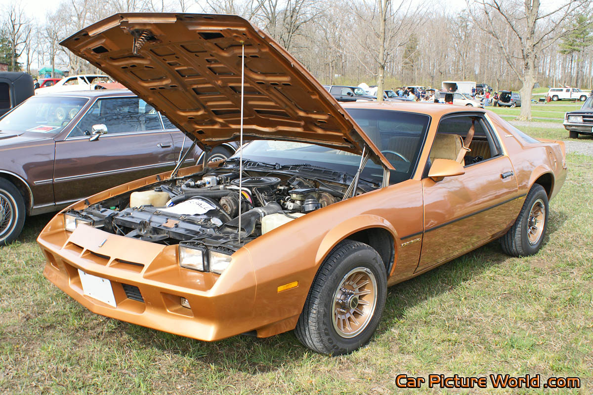 1982 Camaro Berlinetta Front Left Picture