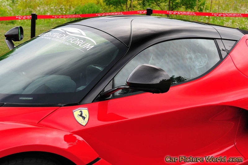 LaFerrari Roof
