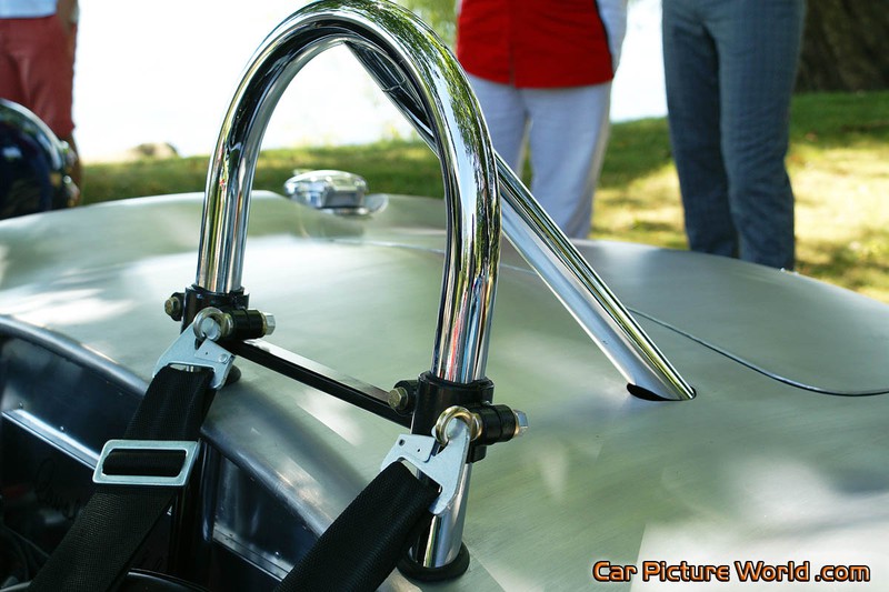 427 Shelby Cobra Roll Bar