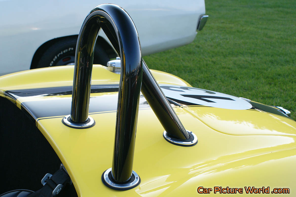 Yellow 427 Cobra Roll Bar Picture