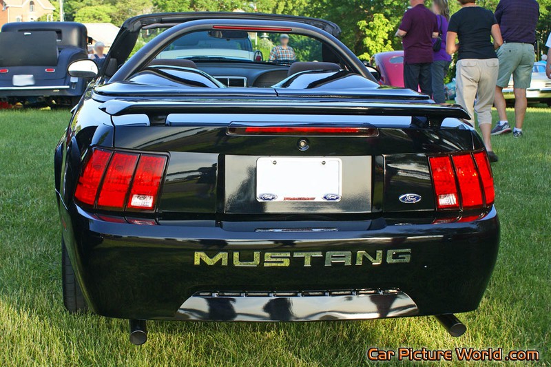 2004 Roush Mustang Convertible Rear