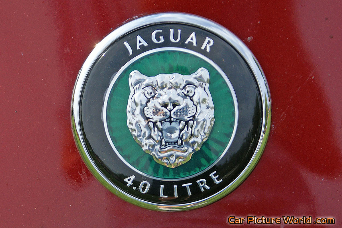 Jaguar XK8 Red Front Crest Picture